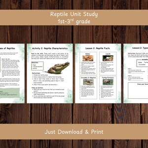 Reptile Unit Study, Homeschool Activities, K-3 Printables (PDF) - Etsy