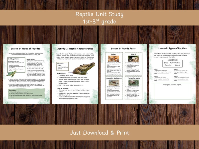 Reptile Unit Study, Nature Study, Homeschool, Hands-on Activities ...