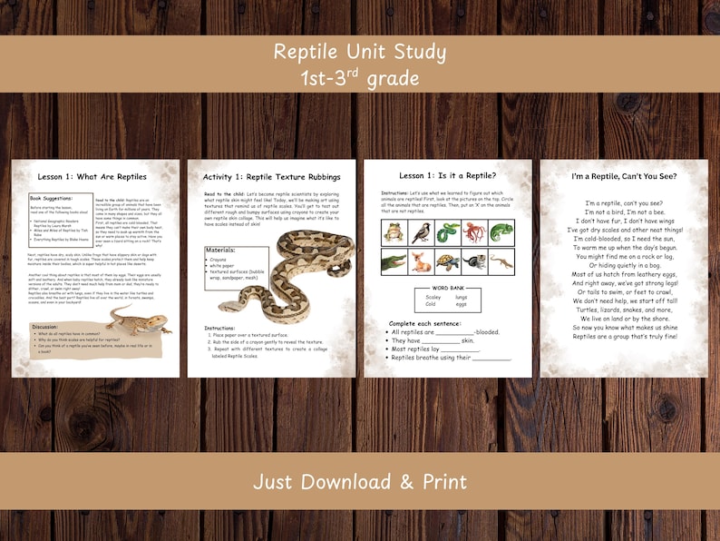 Reptile Unit Study, Homeschool Activities, K-3 Printables (PDF) - Etsy