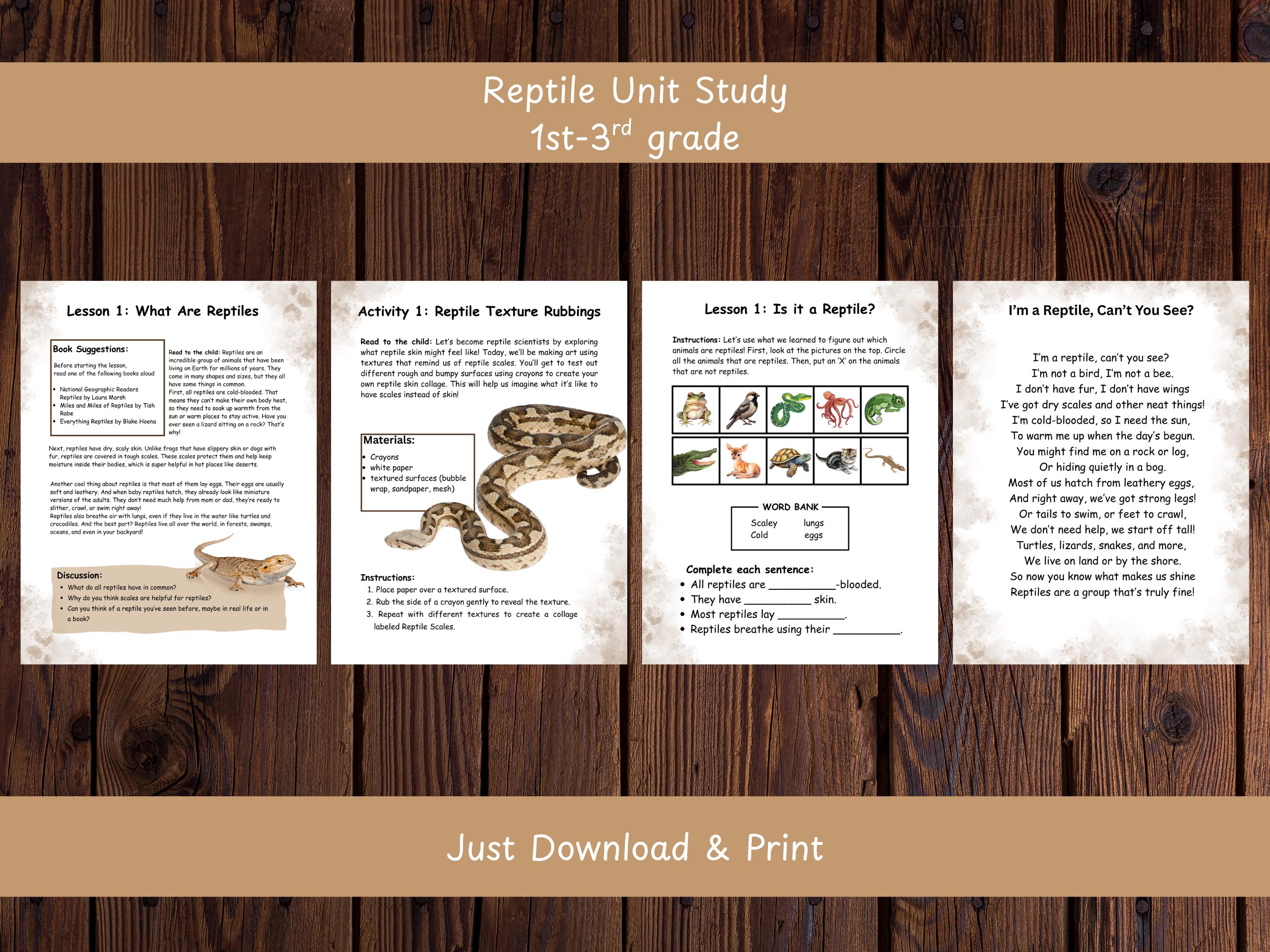 Reptile Unit Study, Homeschool Activities, K-3 Printables (PDF) - Etsy