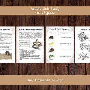 Reptile Unit Study, Homeschool Activities, K-3 Printables (PDF) - Etsy
