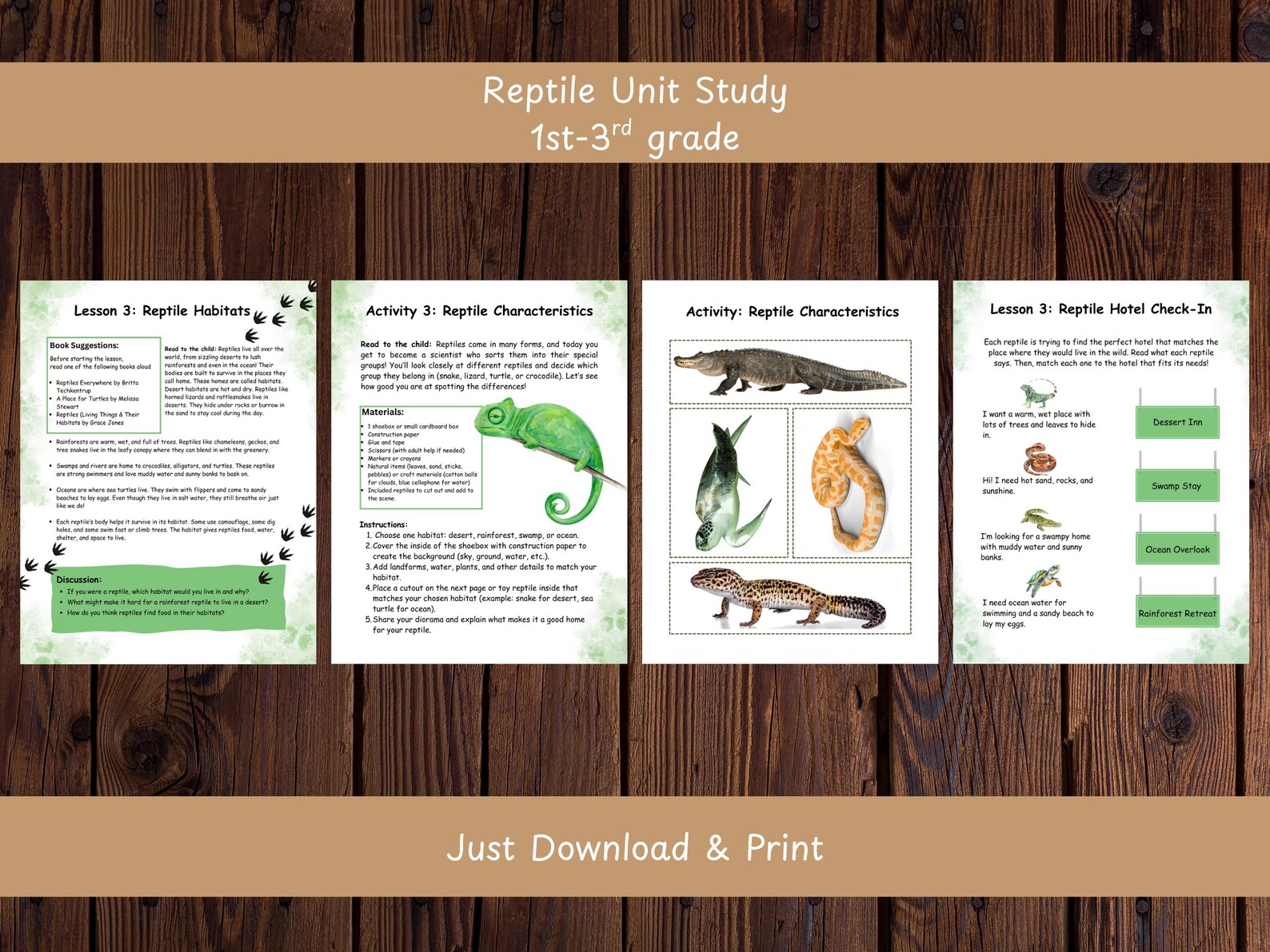 Reptile Unit Study, Nature Study, Homeschool, Hands-on Activities ...