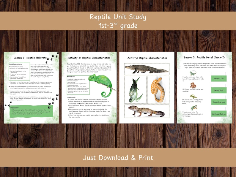 Reptile Unit Study, Homeschool Activities, K-3 Printables (PDF) - Etsy