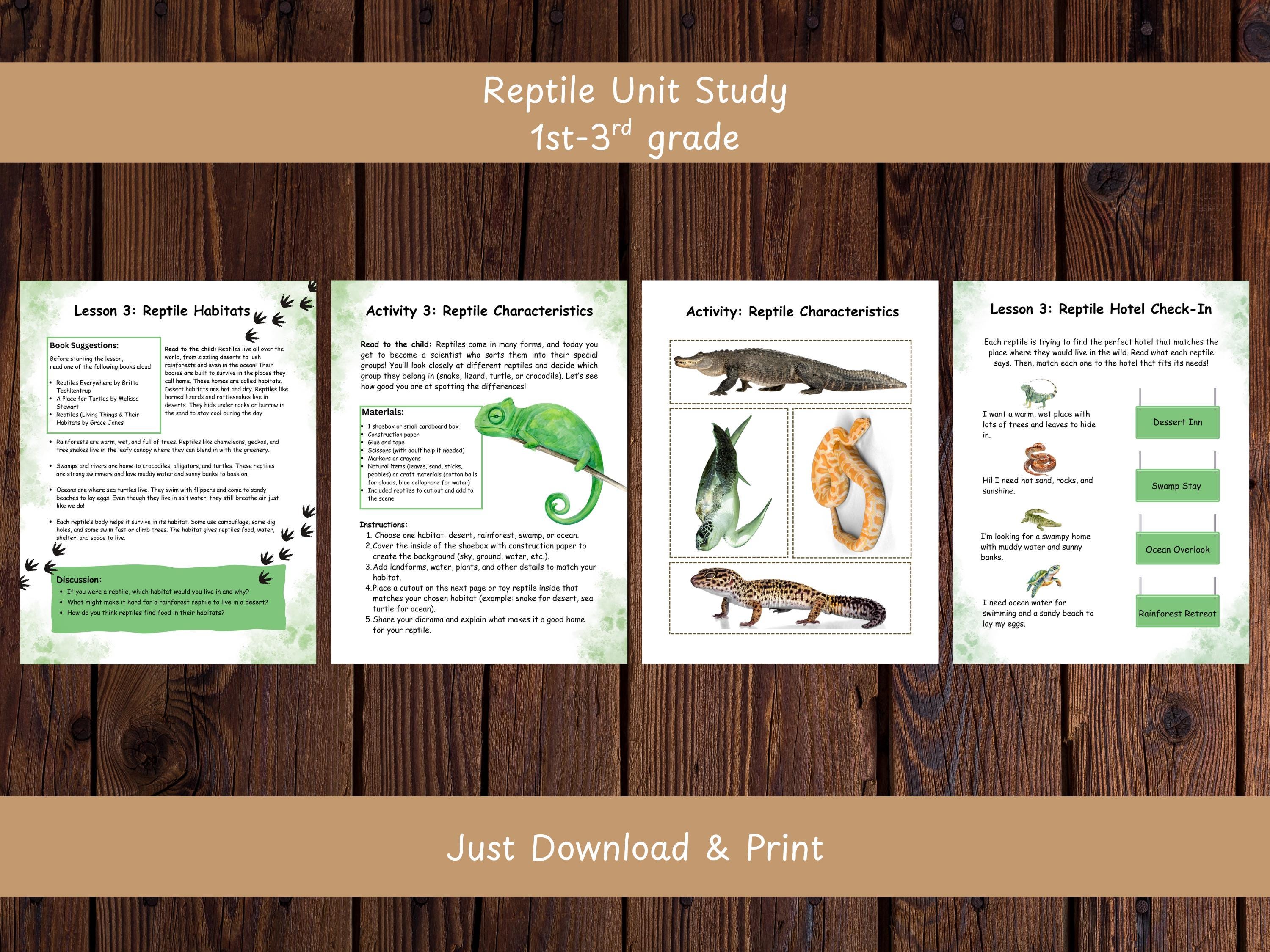 Reptile Unit Study, Nature Study, Homeschool, Hands-on Activities ...