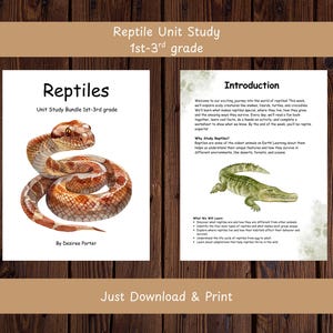 Reptile Unit Study, Homeschool Activities, K-3 Printables (PDF) - Etsy
