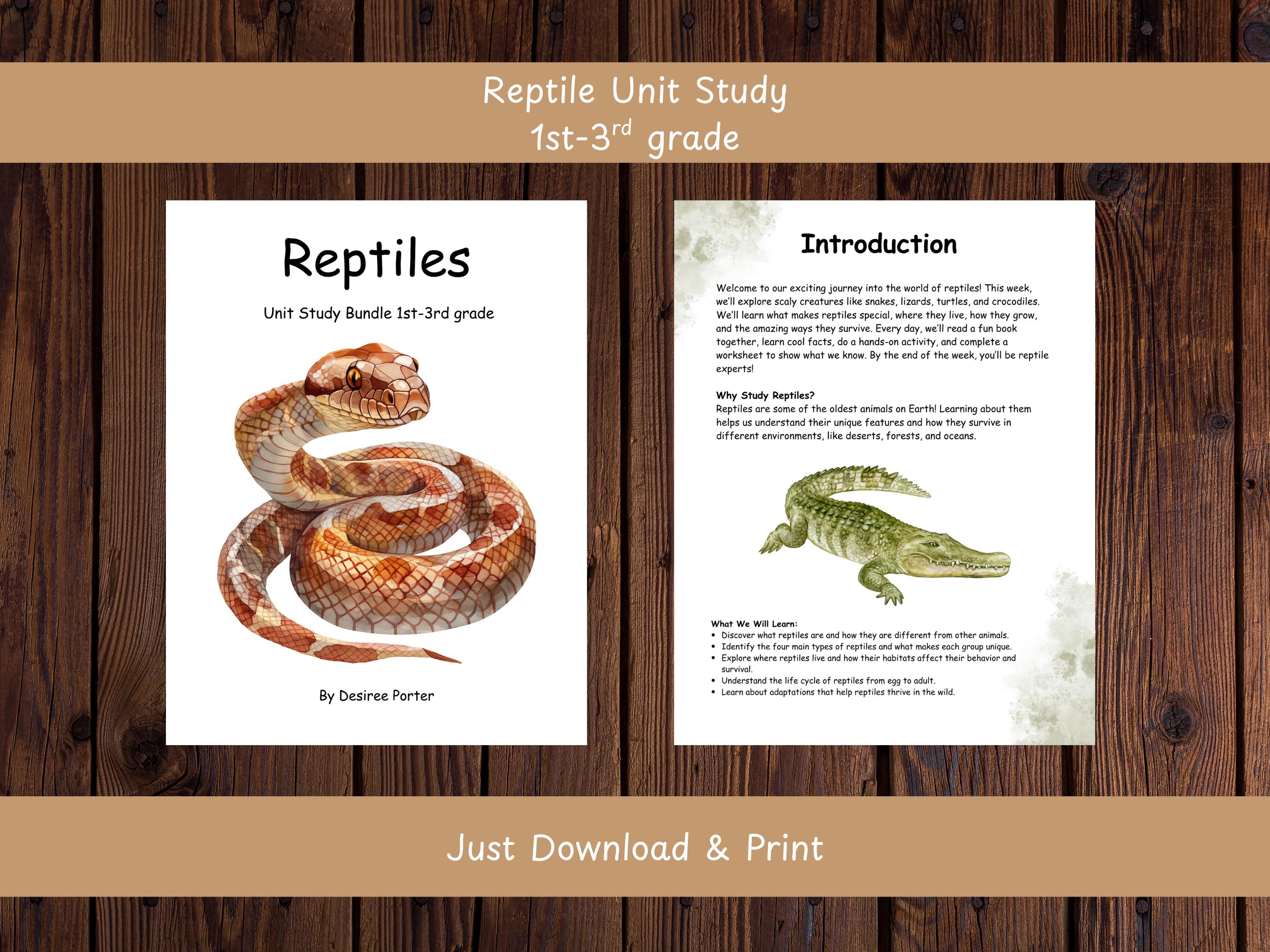 Reptile Unit Study, Nature Study, Homeschool, Hands-on Activities ...