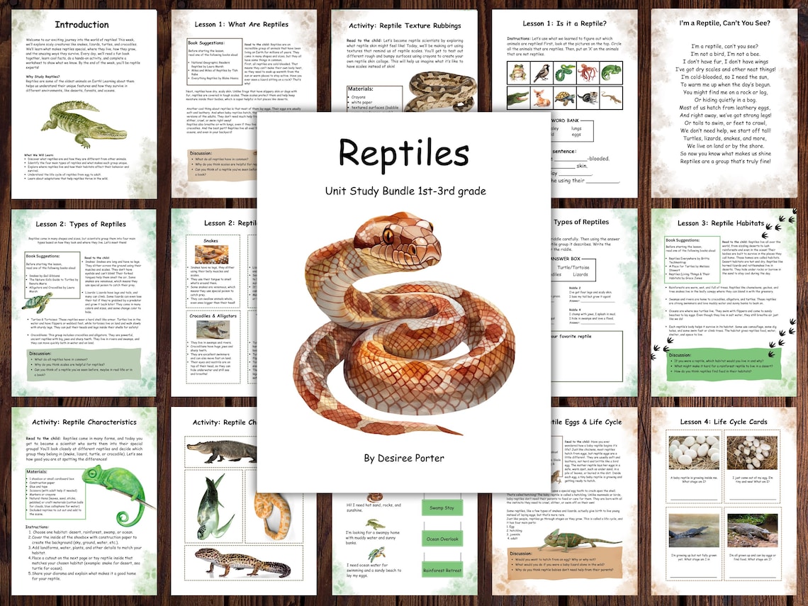 Reptile Unit Study, Homeschool Activities, K-3 Printables (PDF) - Etsy