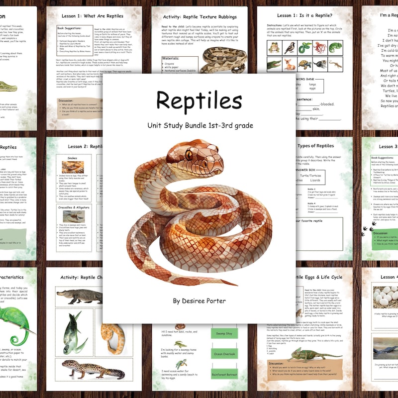 Reptile Toy - Etsy
