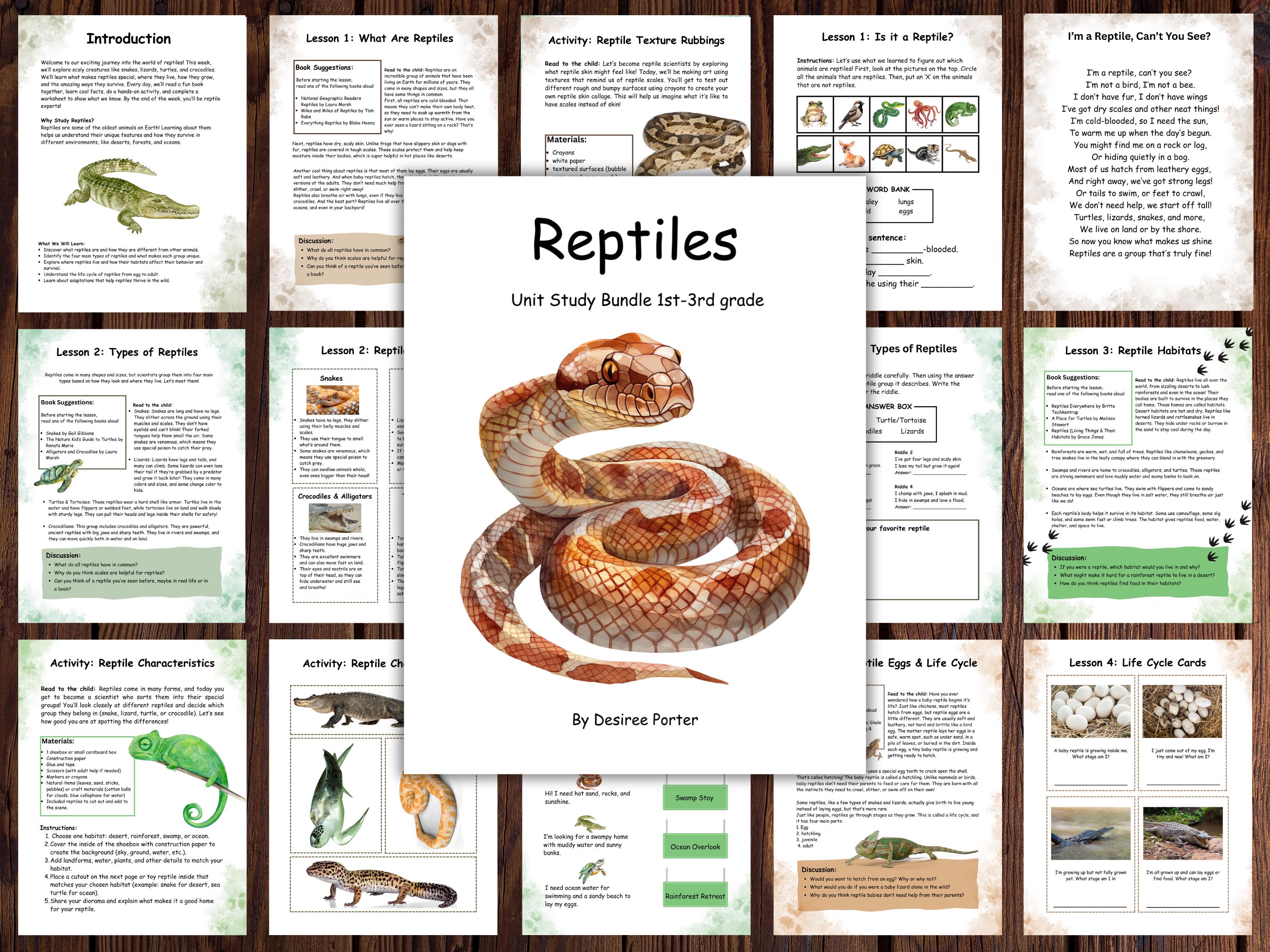 Reptile Unit Study, Homeschool Activities, K-3 Printables (PDF) - Etsy