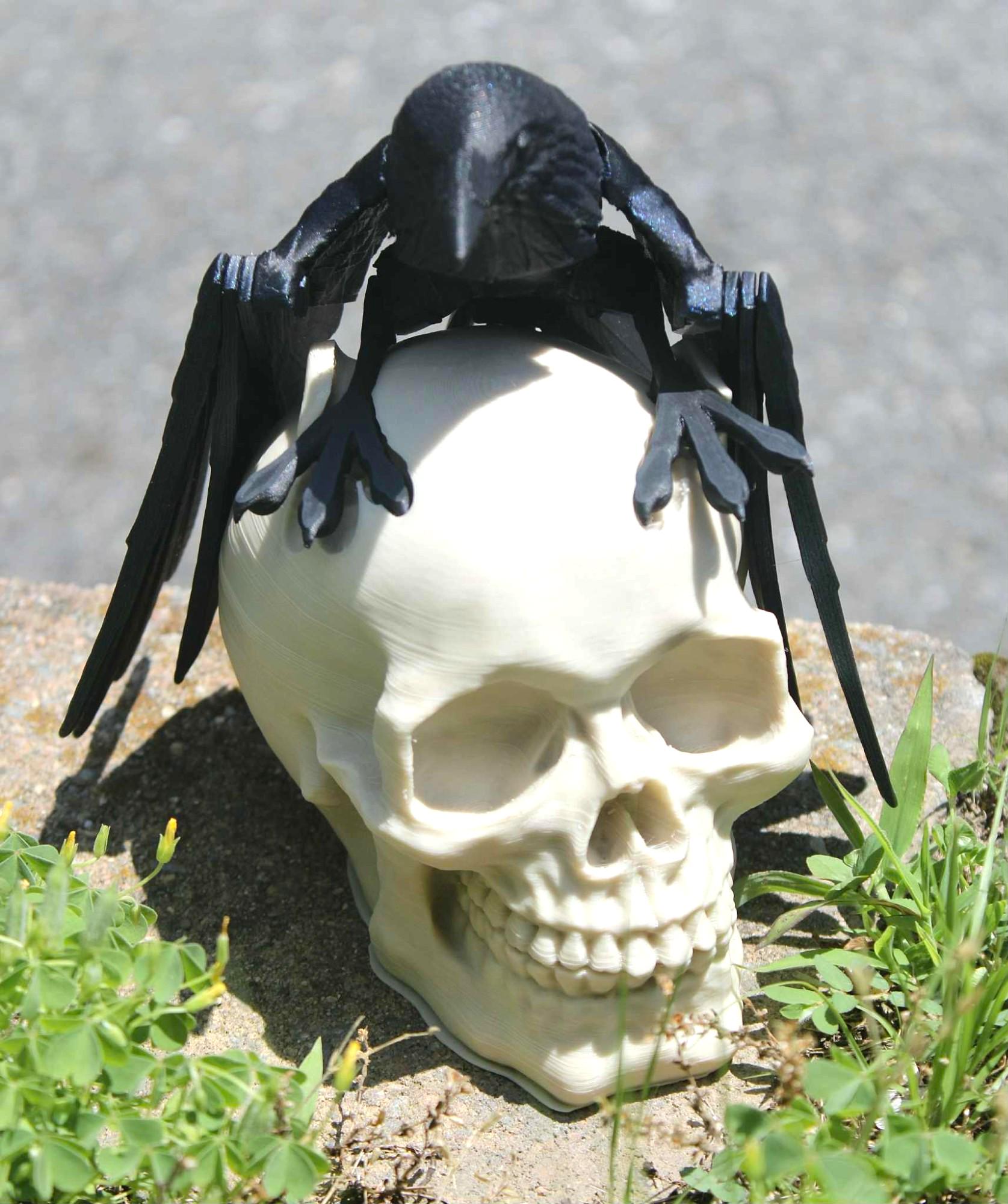 3D Printed Articulated Raven on Skull: Gothic Desk Ornament, Fidget Toy ...