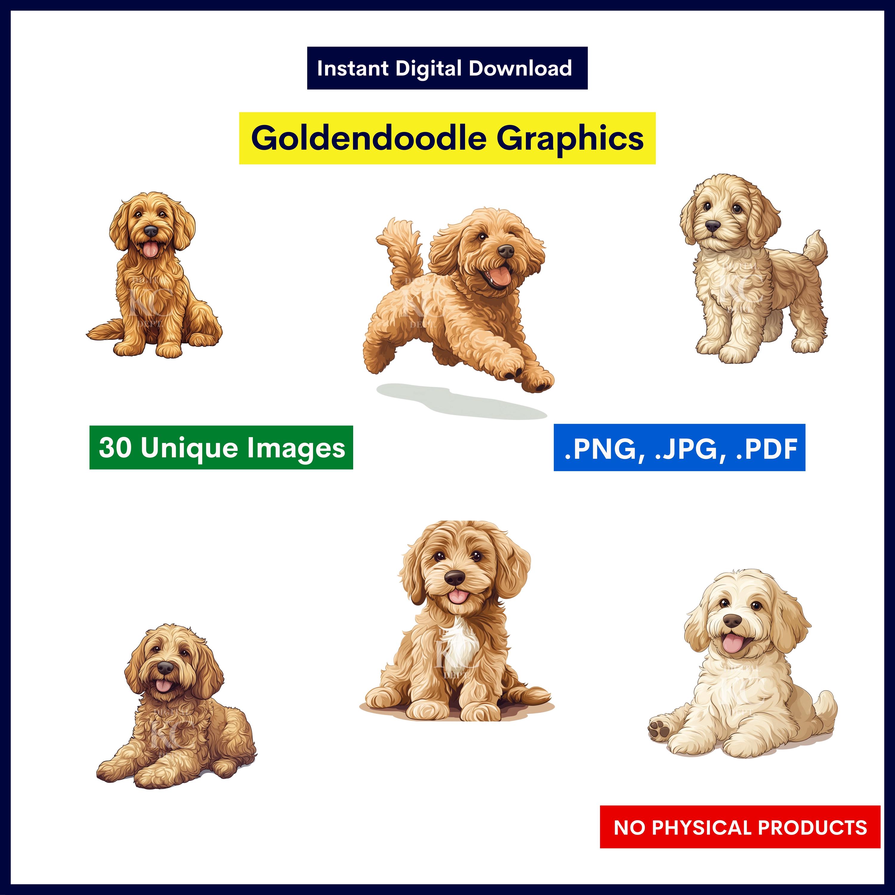 Goldendoodle Dog Digital Clip Art Icons, .PNG .JPG .PDF, 30 Unique ...