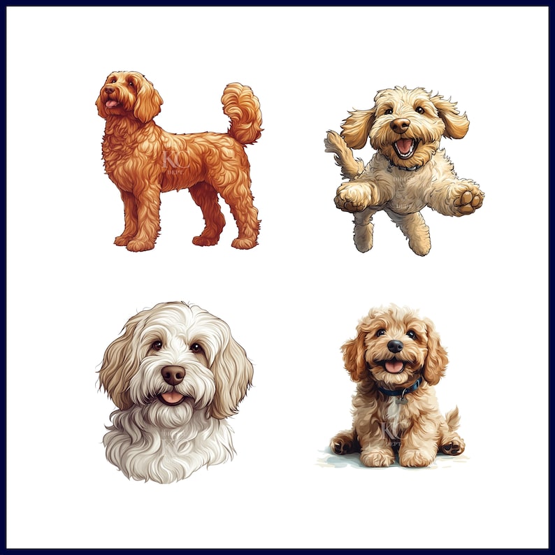 Goldendoodle Dog Digital Clip Art Icons, .PNG .JPG .PDF, 30 Unique ...