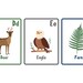 PNW Alphabet Flashcards for Kids | Pacific Northwest Nature ABC Cards ...