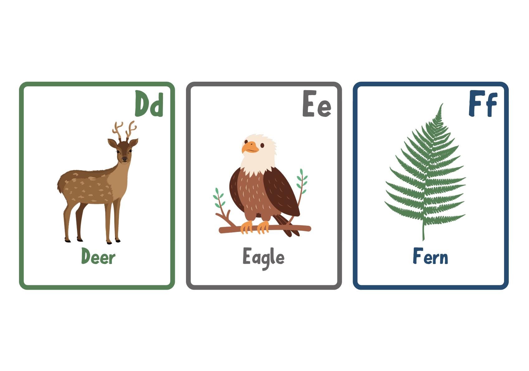 PNW Alphabet Flashcards for Kids | Pacific Northwest Nature ABC Cards ...