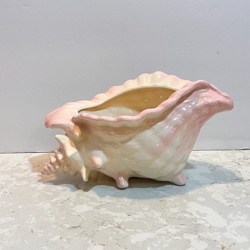 Conch Shell Planter - Etsy