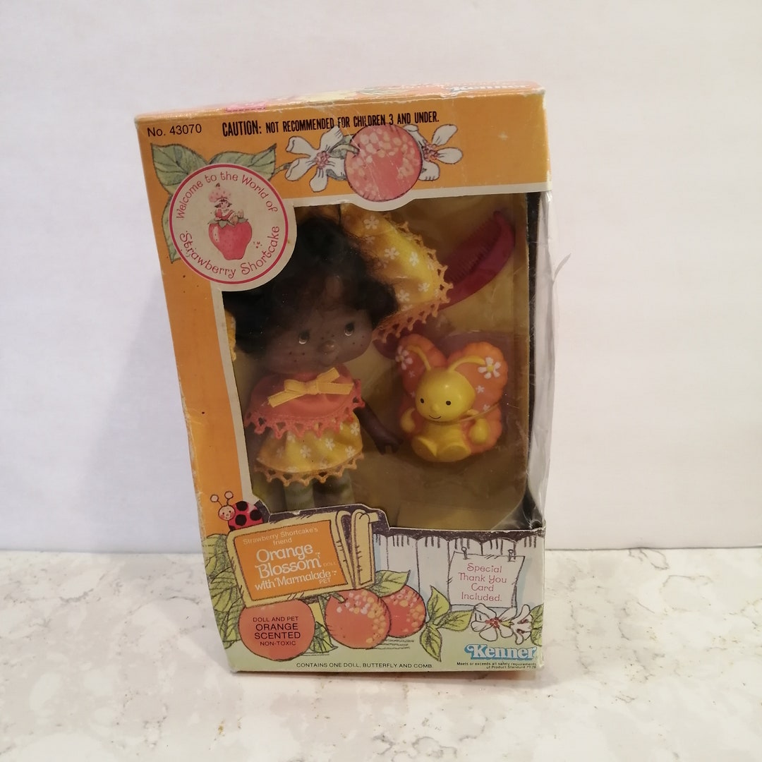 Vintage Strawberry Shortcake Orange Blossom Doll MIB - Etsy