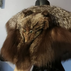 Vintage Silver Fox Fur Stole With Head on Back Fox Head Taxidermy - Etsy
