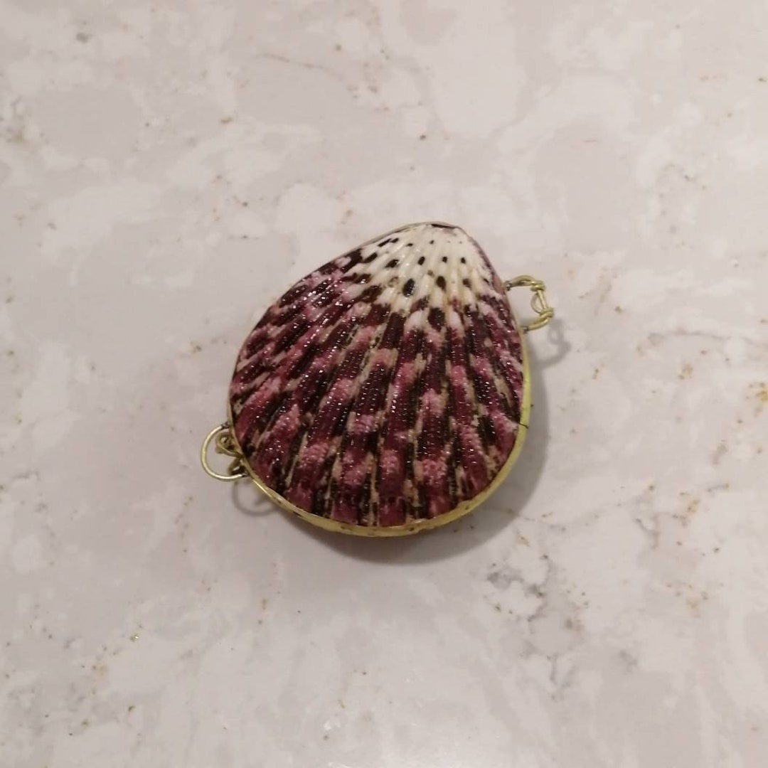 Vintage 1980's Seashell Sea Shell Compact - Etsy