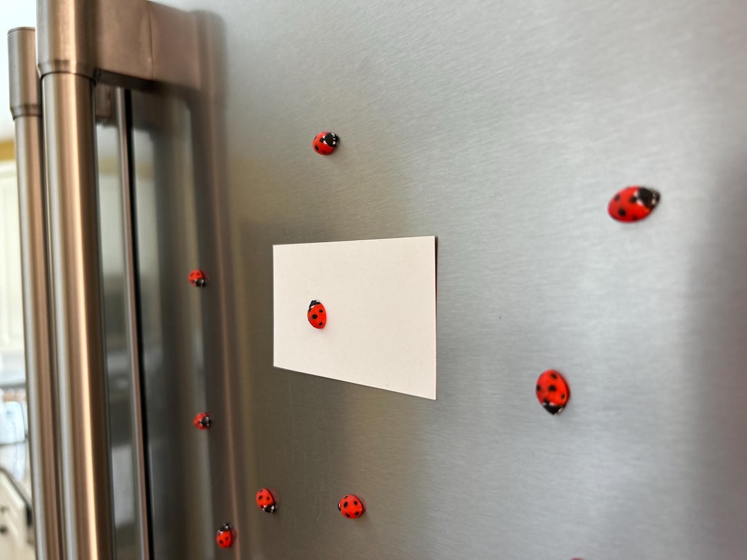 Ladybug Refrigerator Magnets | Cute Fridge Bug Decor | Ladybug Kitchen ...