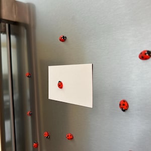 Ladybug Refrigerator Magnets | Cute Fridge Bug Decor | Ladybug Kitchen ...