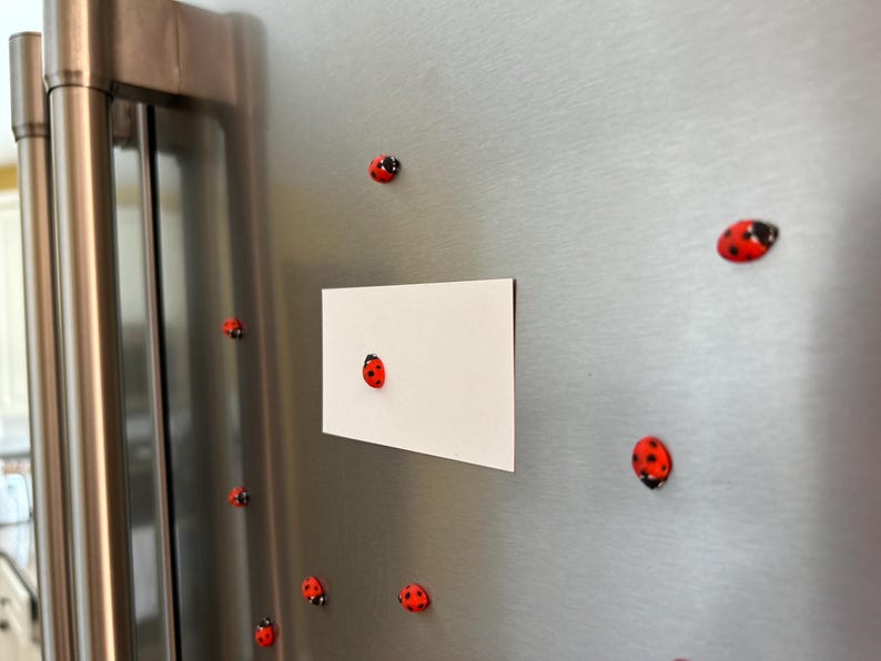 Ladybug Refrigerator Magnets | Cute Fridge Bug Decor | Ladybug Kitchen ...