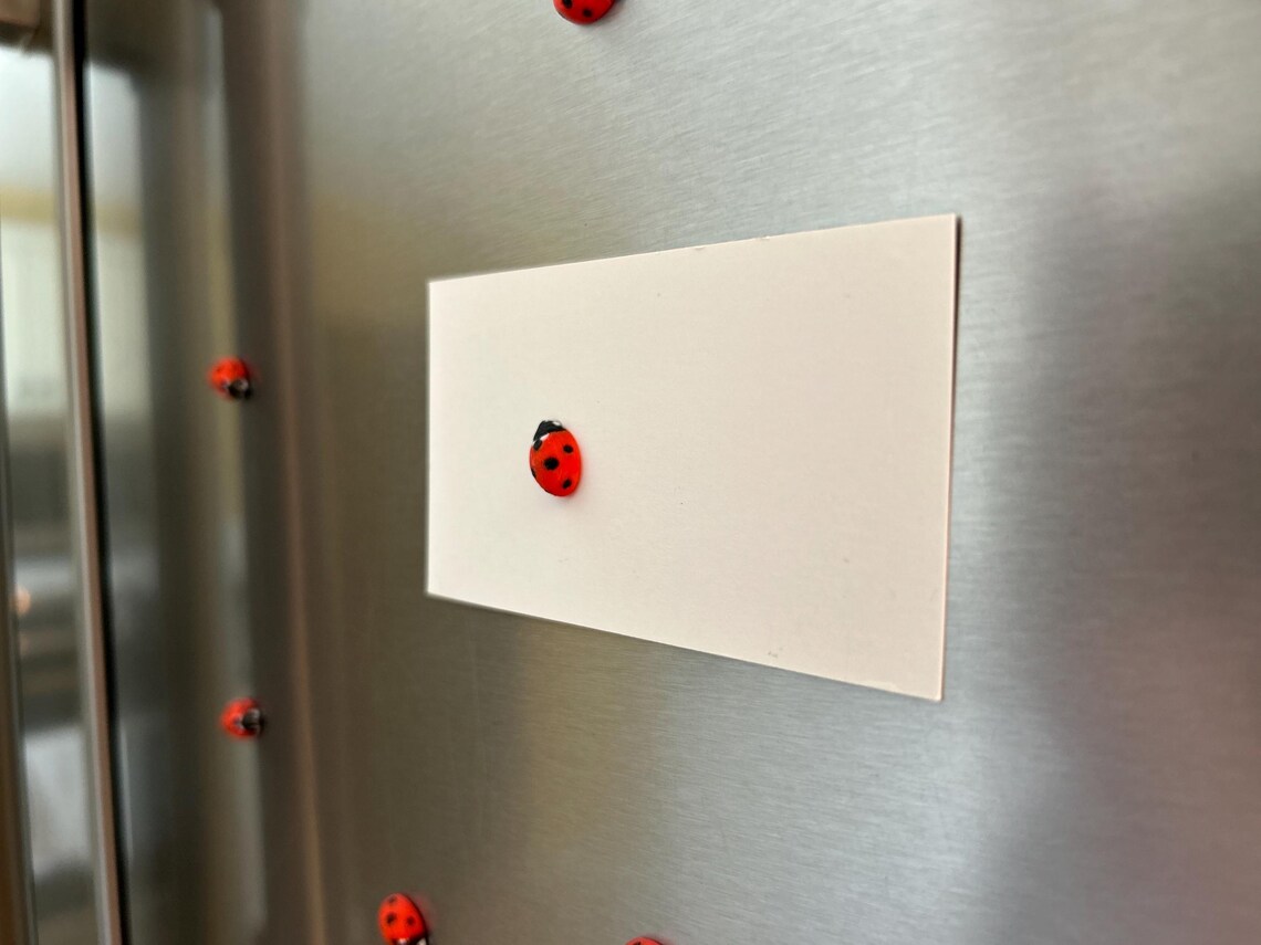 Ladybug Refrigerator Magnets | Cute Fridge Bug Decor | Ladybug Kitchen ...