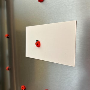 Ladybug Refrigerator Magnets | Cute Fridge Bug Decor | Ladybug Kitchen ...