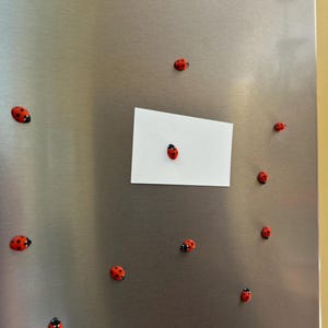 Ladybug Refrigerator Magnets | Cute Fridge Bug Decor | Ladybug Kitchen ...