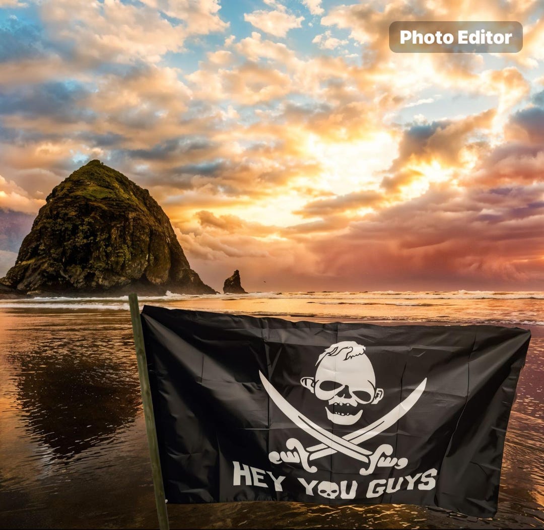 Goonies Sloth "hey You Guys" Flag 5'x3' - Etsy