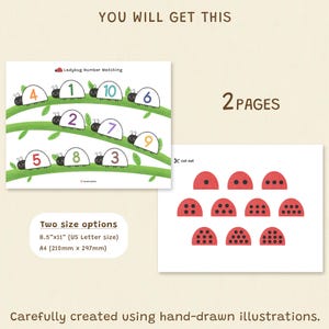Ladybug Number Matching, Preschool Counting Activity, Montessori Math ...