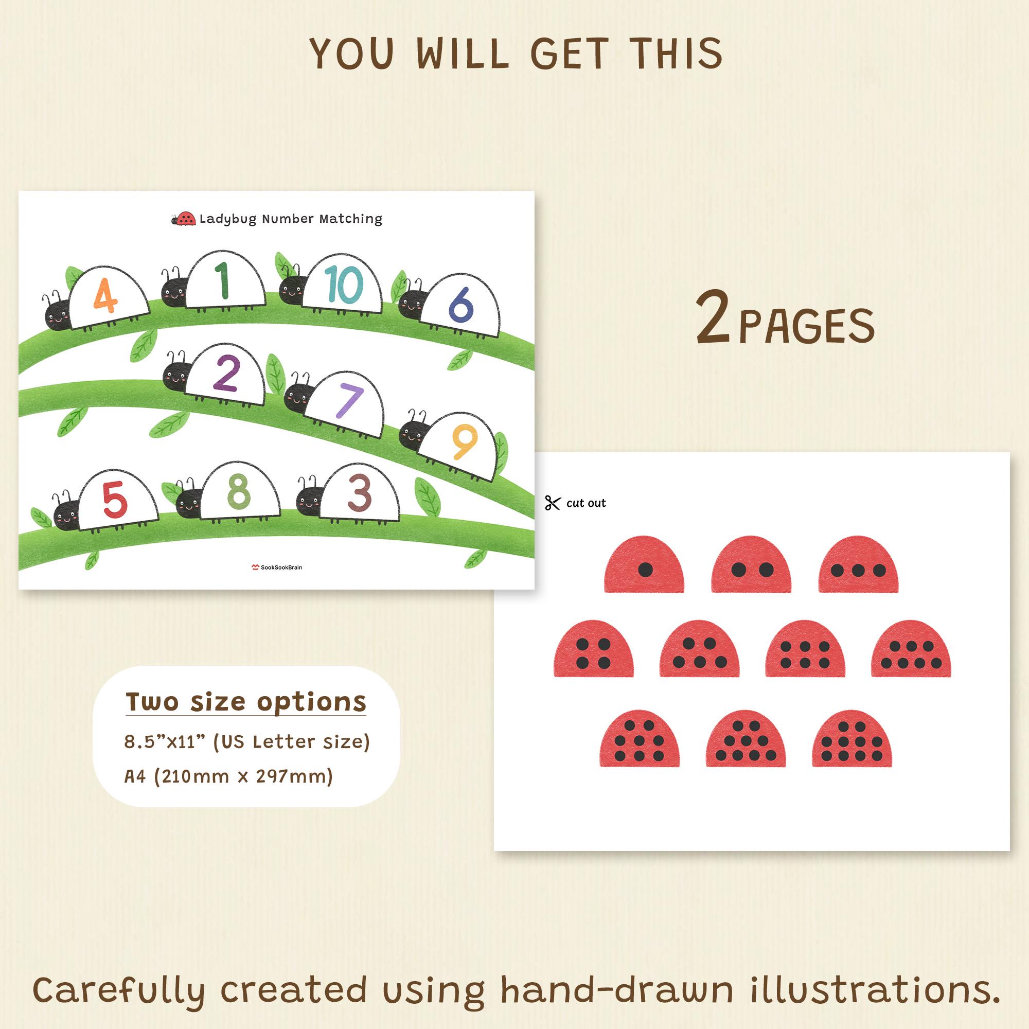 Ladybug Number Matching, Preschool Counting Activity, Montessori Math ...