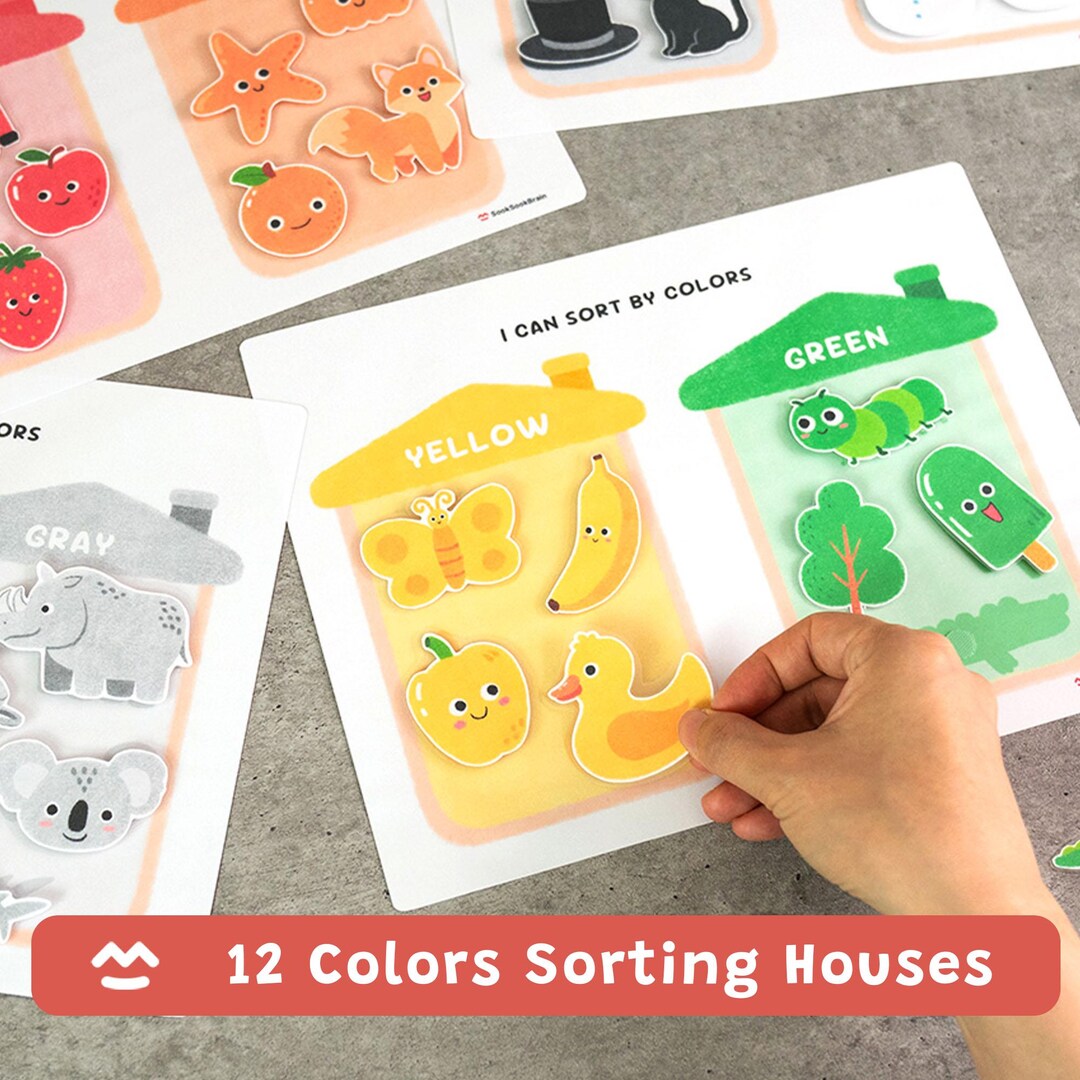 Color Sorting Activity for Toddlers, 12 Colors Sorting, Preschool ...