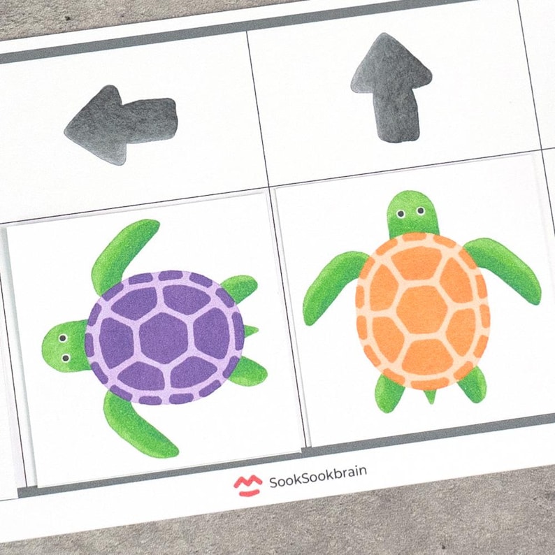Turtle Coding Path Game - Printable PDF, Preschool Activity, Direction ...