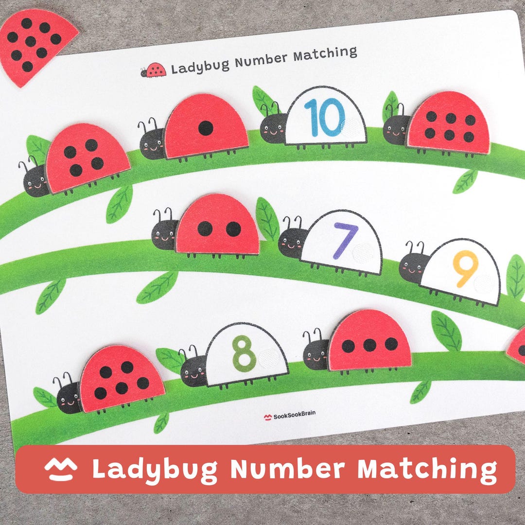 Ladybug Number Matching, Preschool Counting Activity, Montessori Math ...