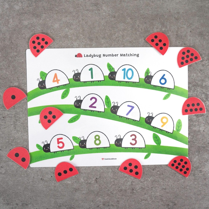 Ladybug Number Matching, Preschool Counting Activity, Montessori Math ...