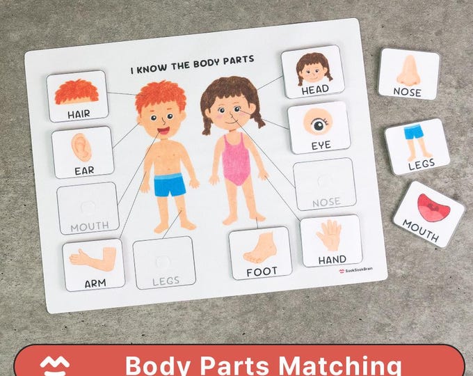 Build A Face Kid's Activity | Learn Body Parts in Vietnamese - Face ...