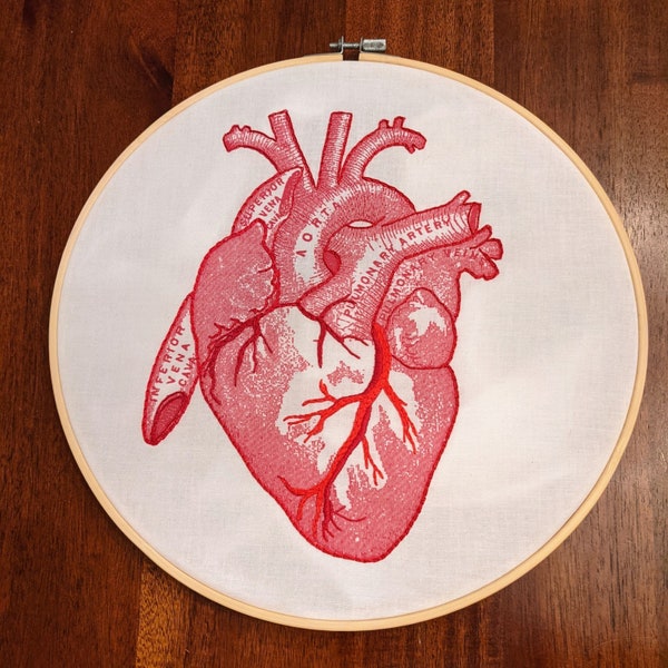 Embroidery Anatomy - Etsy