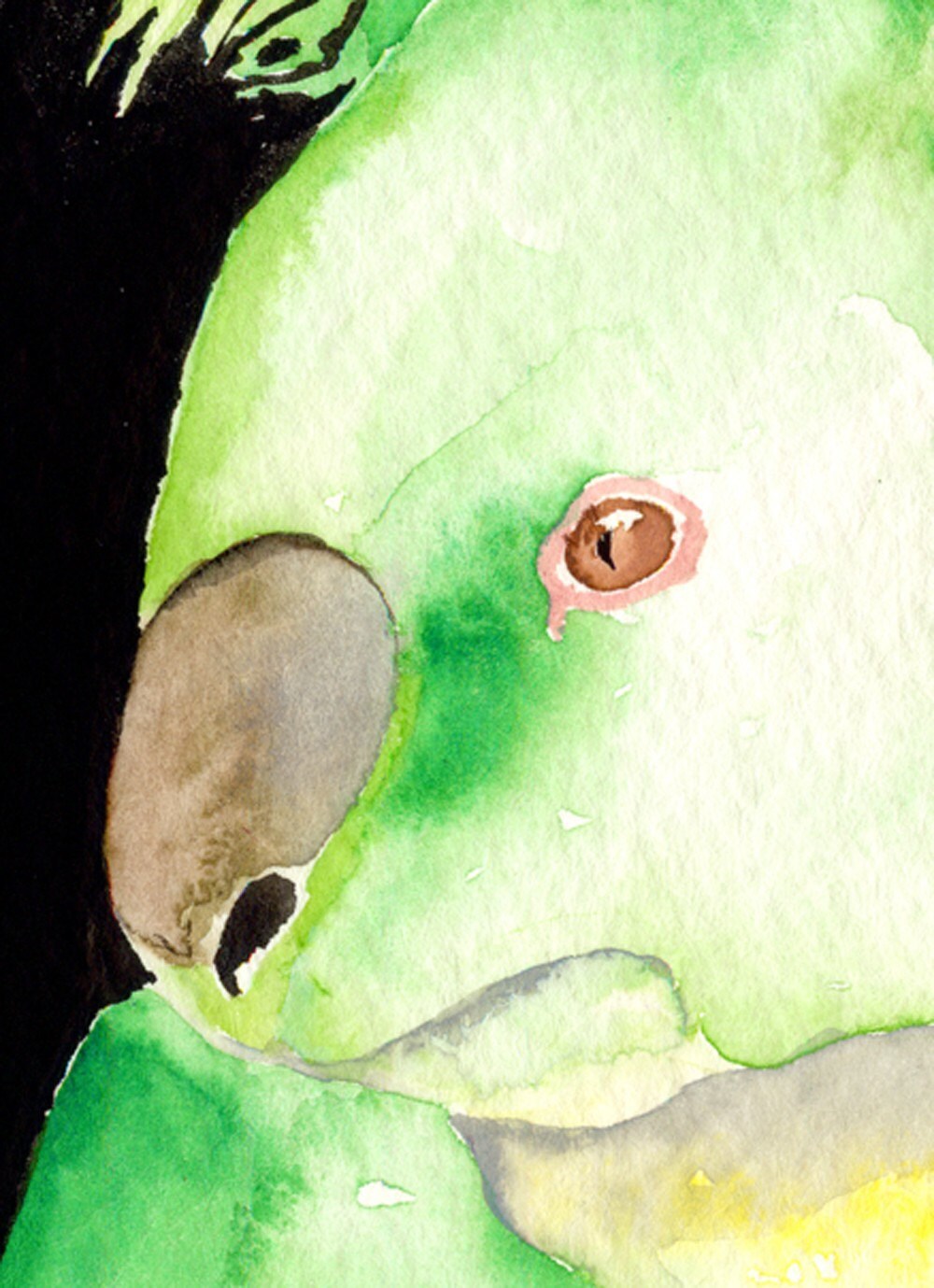 Watercolor Painting Green Koala Contemporary Australia - Etsy