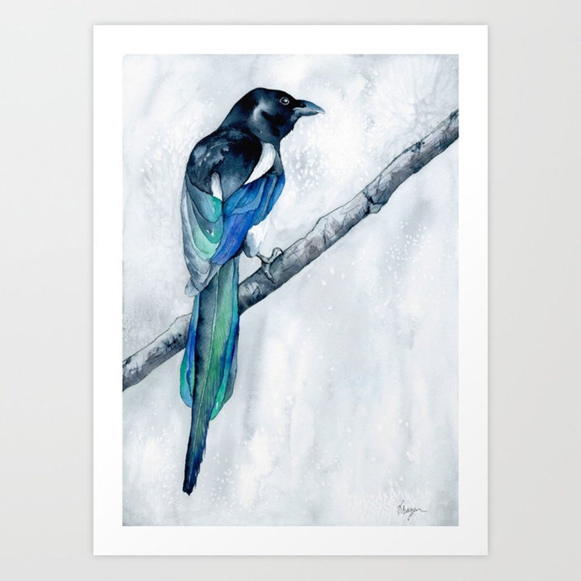 Magpie Art Print Wildlife Bird Watercolor Painting Archival - Etsy