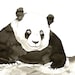 Minimalist Original Ink Painting Giant Panda Bear Wildlife - Etsy