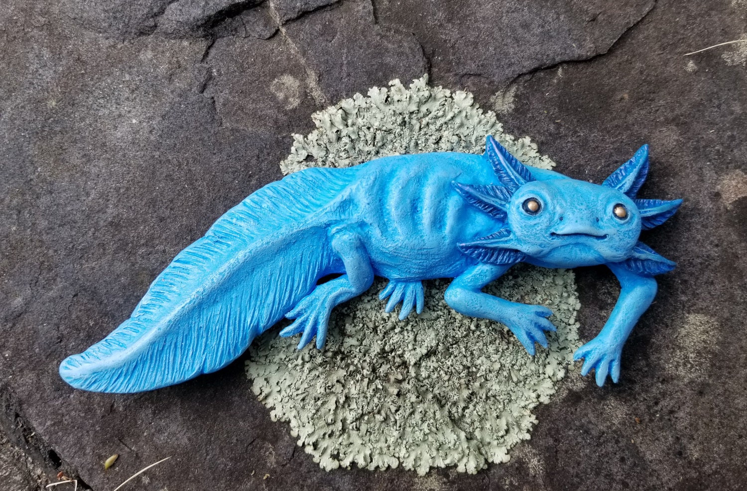 Blue Axolotl