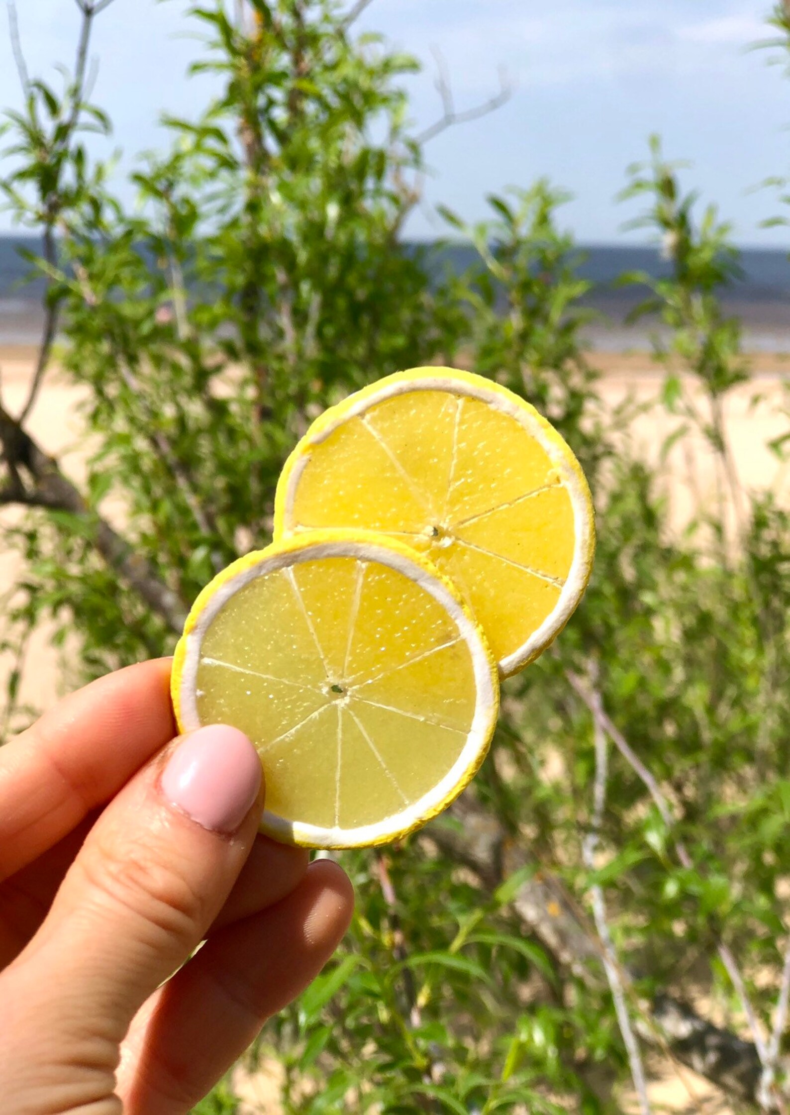 Lemon Pin, Citrus Pin, Cute Pin, Pins Cute, Fruit Pin, Fashion Pin ...