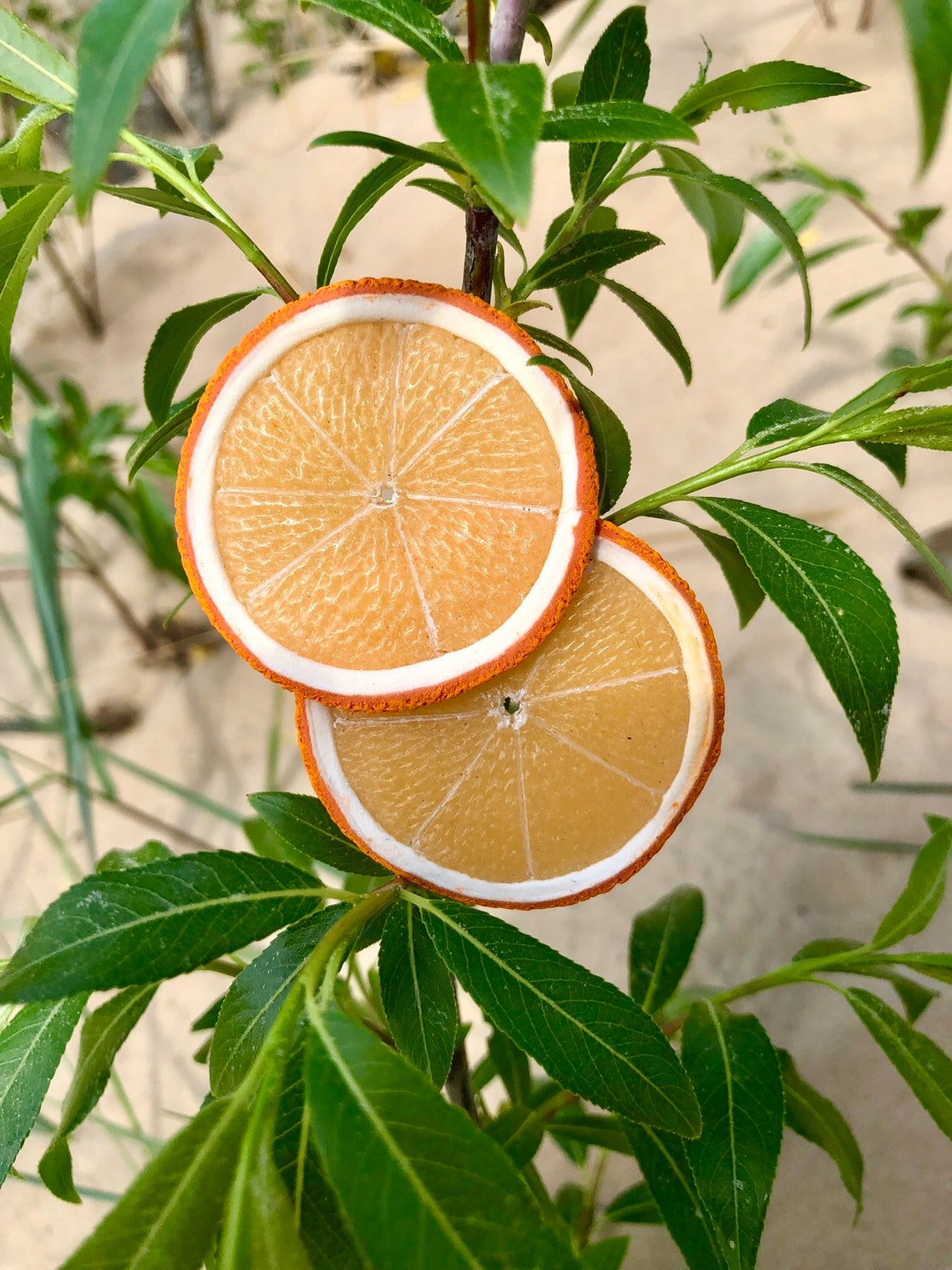 Orange Pin, Citrus Pin, Cute Pin, Pins Cute, Fruit Pin, Fashion Pin ...