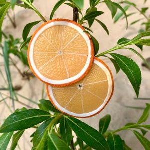 Orange Pin, Citrus Pin, Cute Pin, Pins Cute, Fruit Pin, Fashion Pin ...