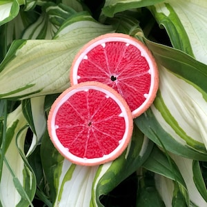 Red Orange Pin, Citrus Pin, Cute Pin, Pins Cute, Fruit Pin, Fashion Pin ...