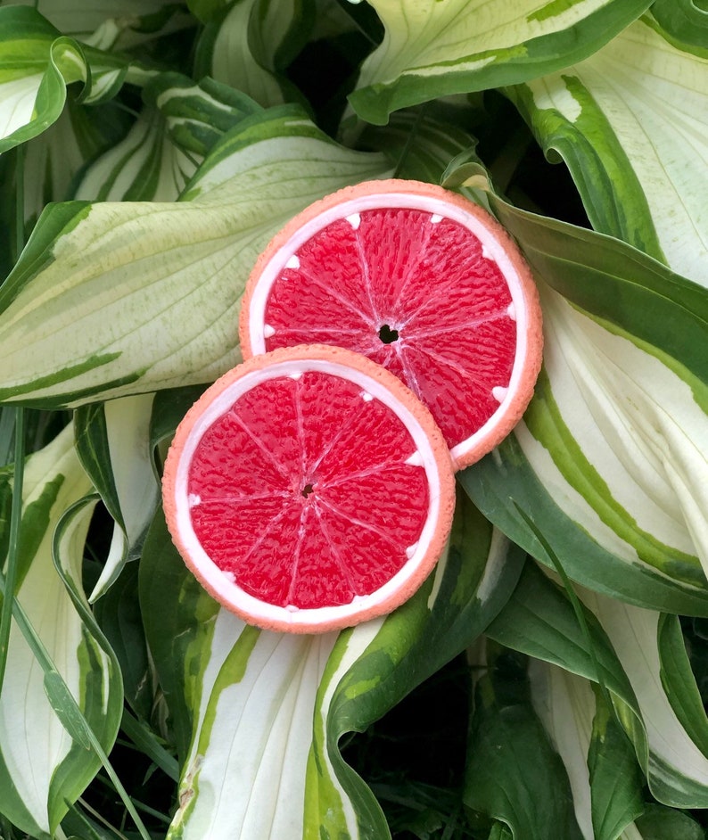 Red Orange Pin, Citrus Pin, Cute Pin, Pins Cute, Fruit Pin, Fashion Pin ...