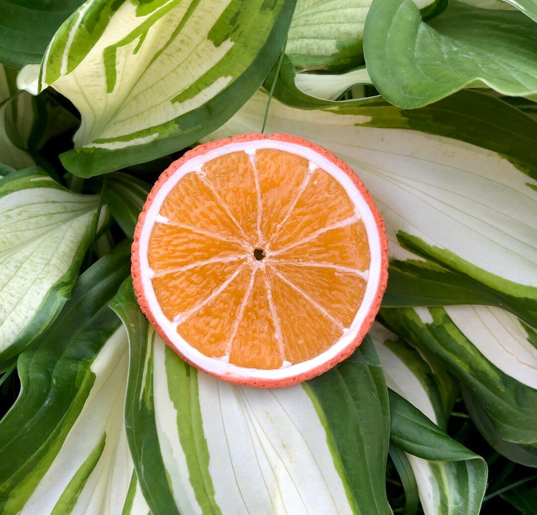 Orange Pin, Citrus Pin, Cute Pin, Pins Cute, Fruit Pin, Fashion Pin ...