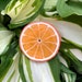 Orange Pin, Citrus Pin, Cute Pin, Pins Cute, Fruit Pin, Fashion Pin ...
