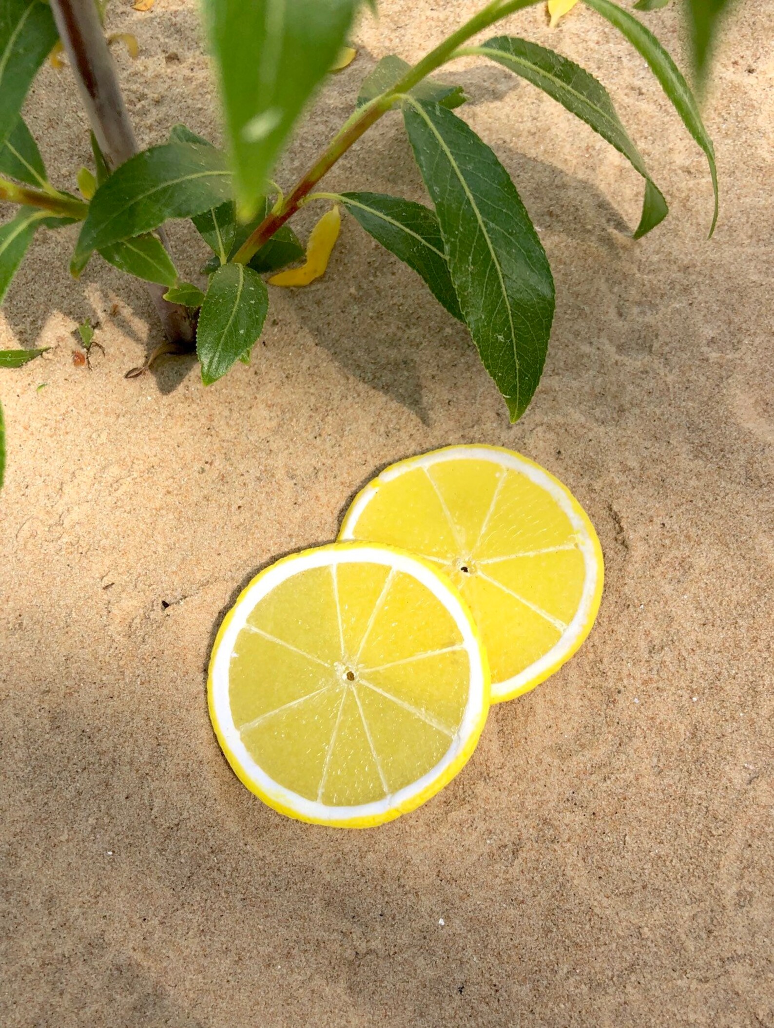 Lemon Pin, Citrus Pin, Cute Pin, Pins Cute, Fruit Pin, Fashion Pin ...