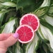 Red Orange Pin, Citrus Pin, Cute Pin, Pins Cute, Fruit Pin, Fashion Pin ...